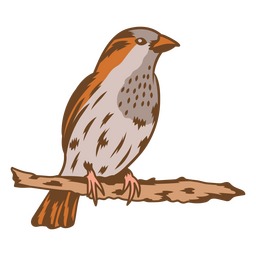 Majestic Avian Design PNG & SVG Design For T-Shirts