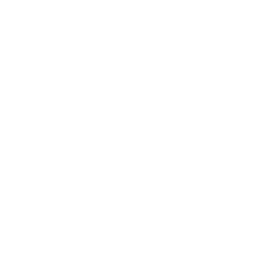 White Spider PNG & SVG Design For T-Shirts