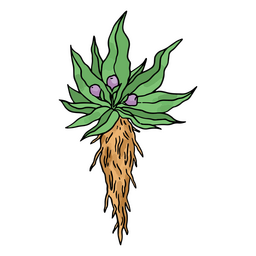 Mandrake Roots PNG & SVG Design For T-Shirts