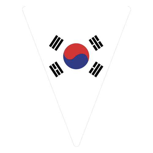 Bandera De Corea Del Sur 7.900+ Bandera De Corea Del Sur Fotografías