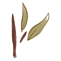 Drawing Of Two Leaves PNG & SVG Design For T-Shirts