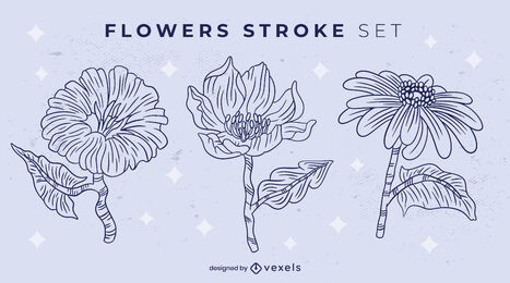 Flowers Stroke Illustration Set Design Vector Download