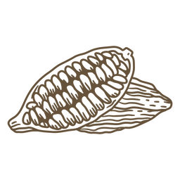 Diseño PNG Y SVG De Dibujo De Una Mazorca De Cacao. Para Camisetas
