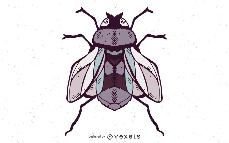 Vector Fly - Vector Download
