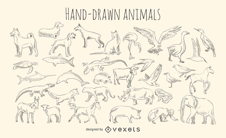 Hand-drawn animals set - Vector download