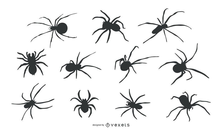 Spider Vector - Vector download